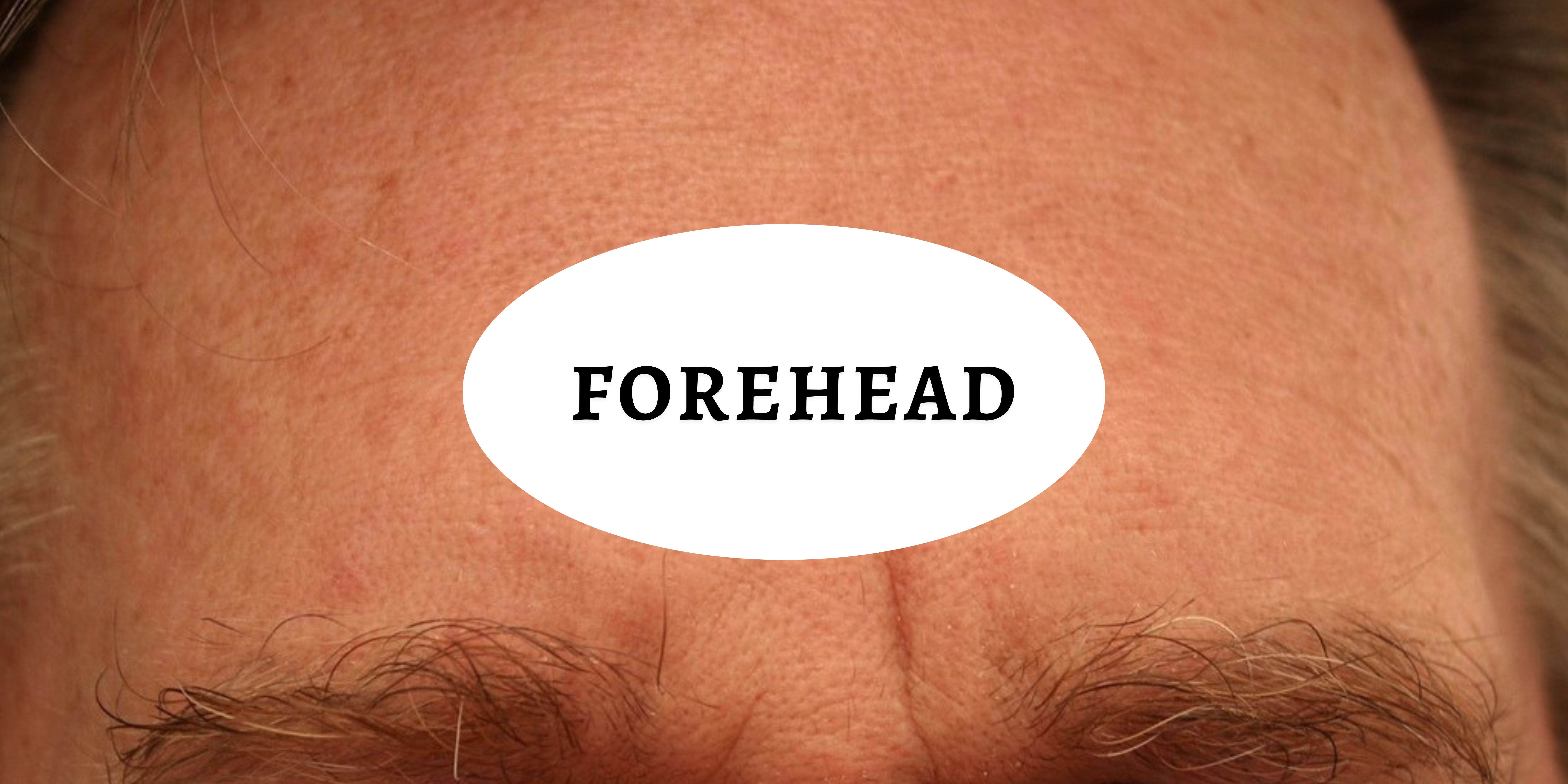 Forehead – Fortunify
