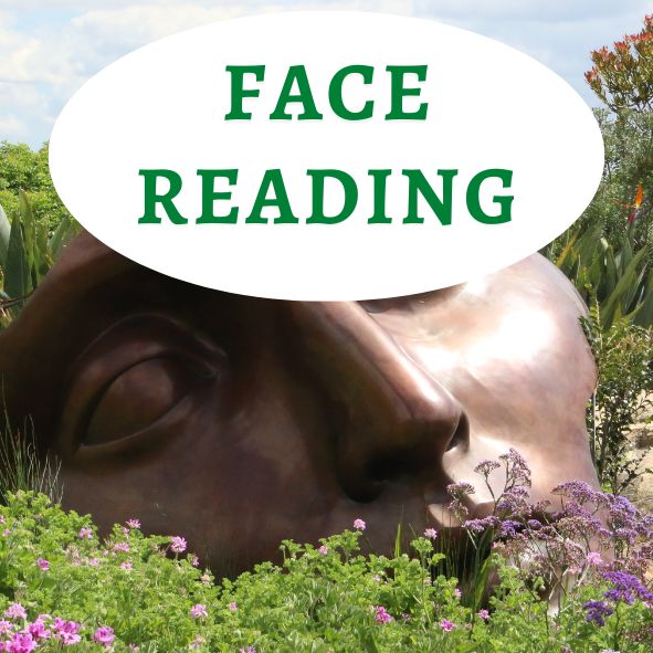 Face Reading – Fortunify